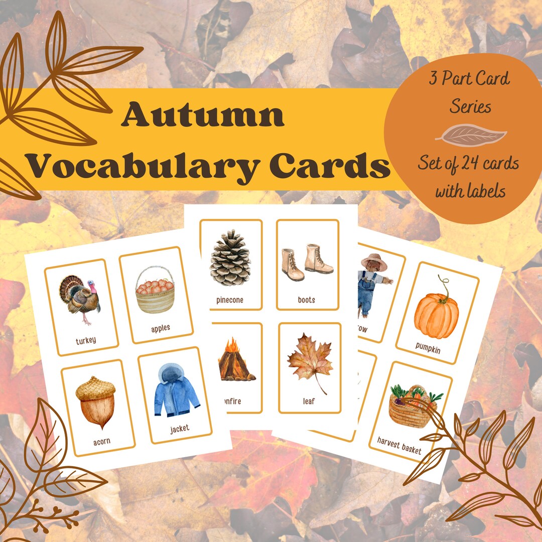 Autumn Vocabulary Cards | Fall Vocabulary | Montessori | Language | 3 ...