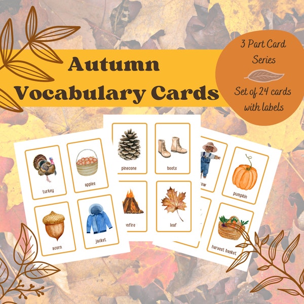 Vocabulary Cards - Etsy