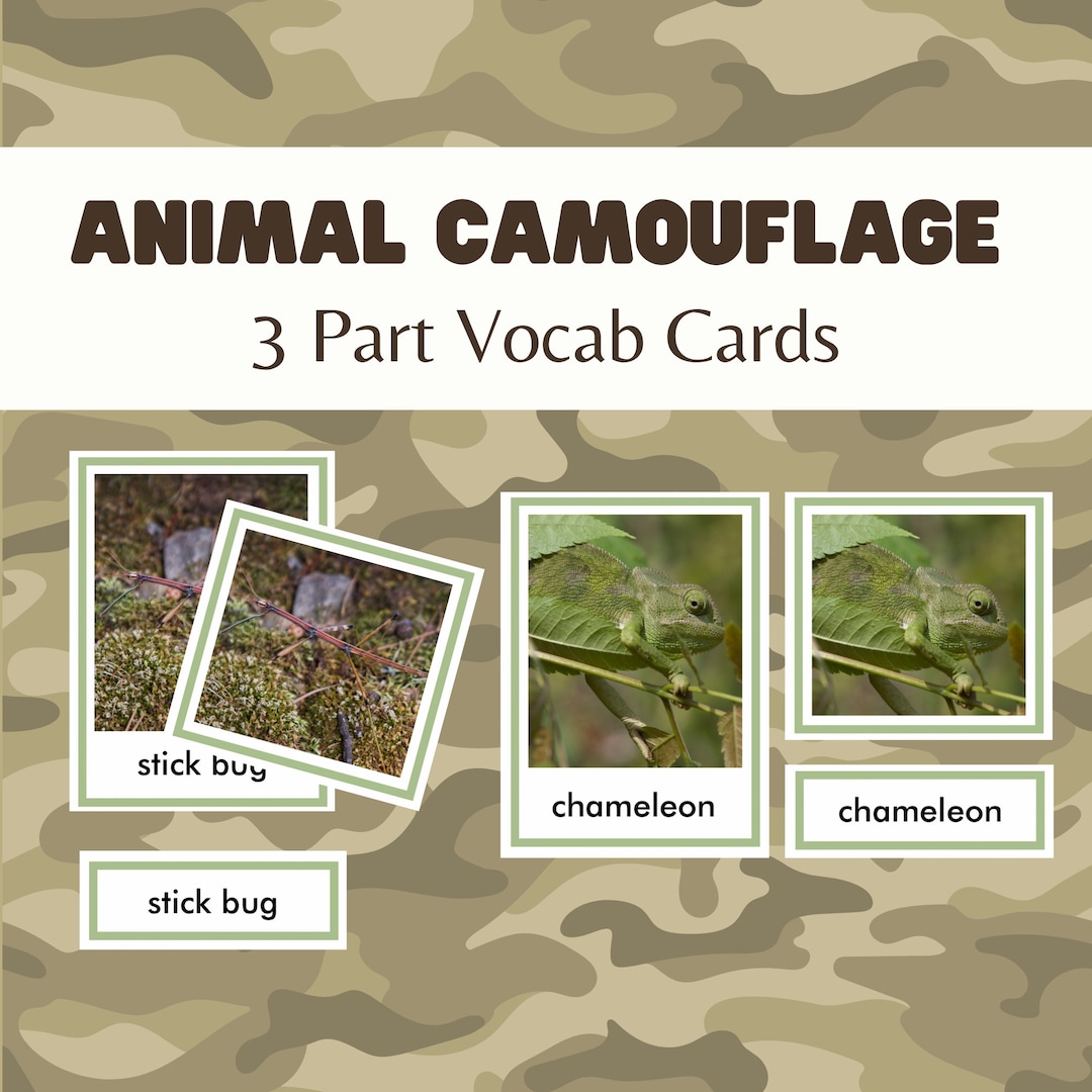 Animal Camouflage 3 Part Vocab Cards | Montessori Language Activity ...