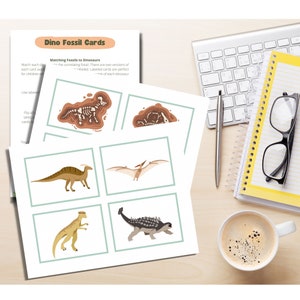 Dinosaur Fossil Cards | Dinosaur Matching | Memory Game | Language ...