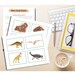 Dinosaur Fossil Cards | Dinosaur Matching | Memory Game | Language ...