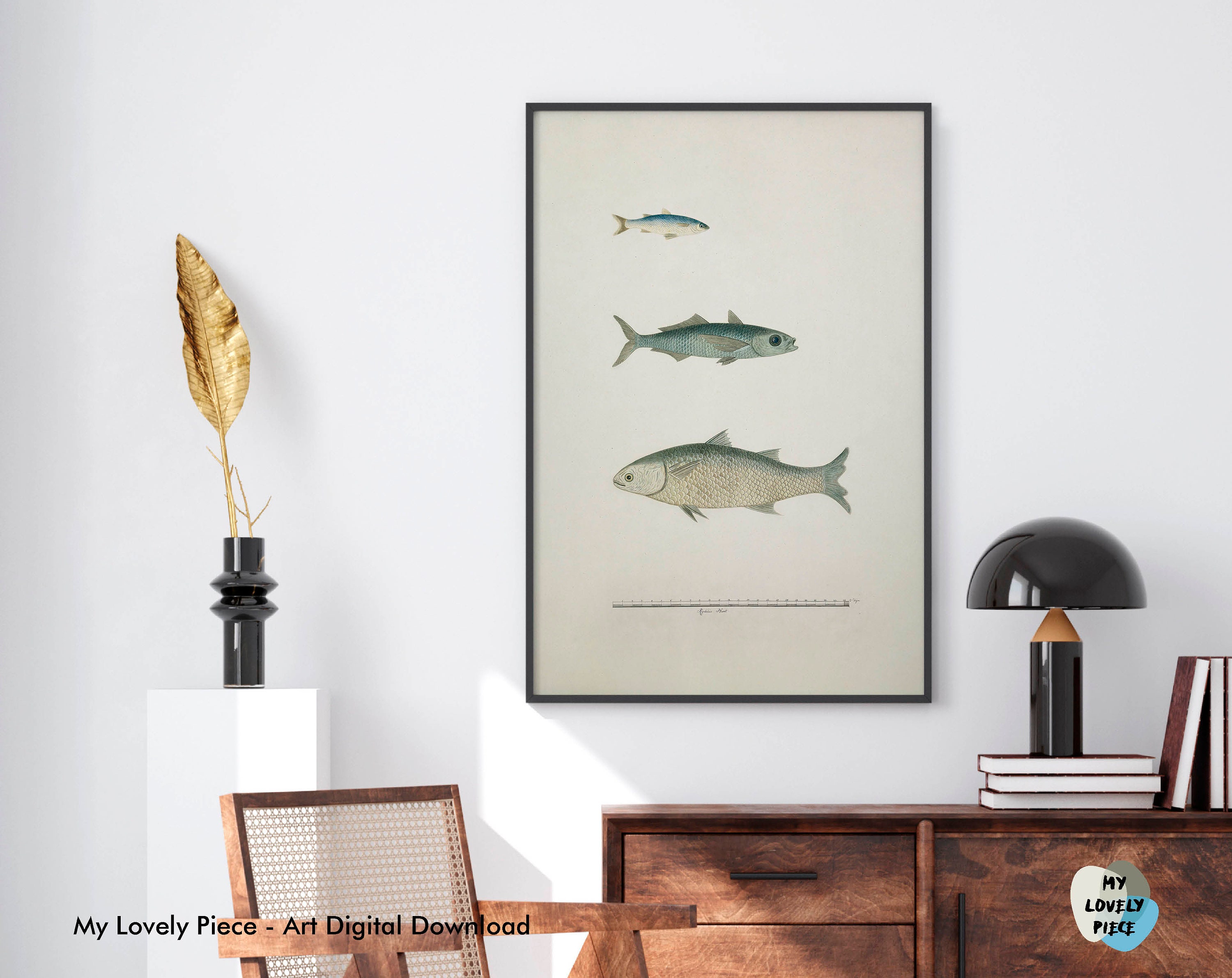 Fish Species Scientific Drawing Print File Three Fishes at Scale ...
