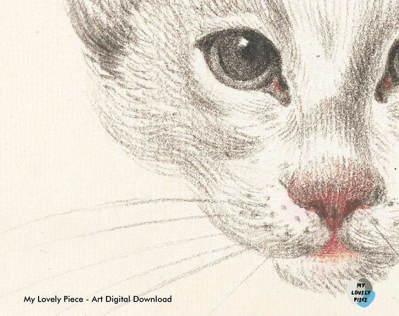 Cat Face Drawing Cute Cat Head Sketch Cat Pencil Portrait Artwork Cat ...