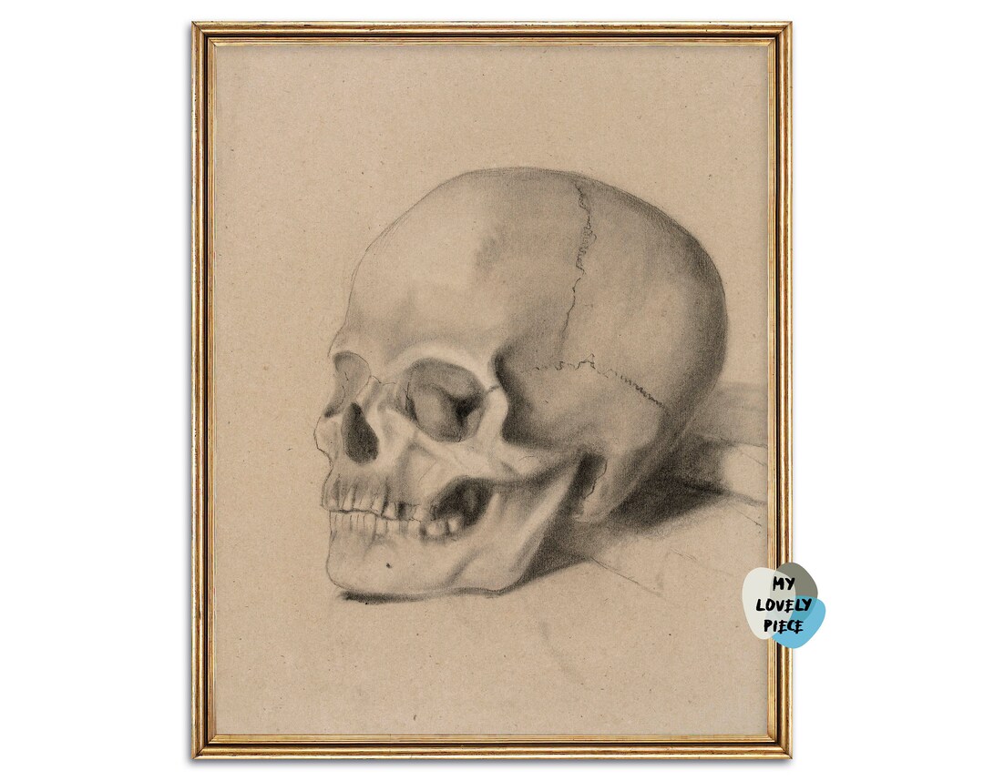Human Skull Study on Paper Vintage Printable Sketch Instant - Etsy