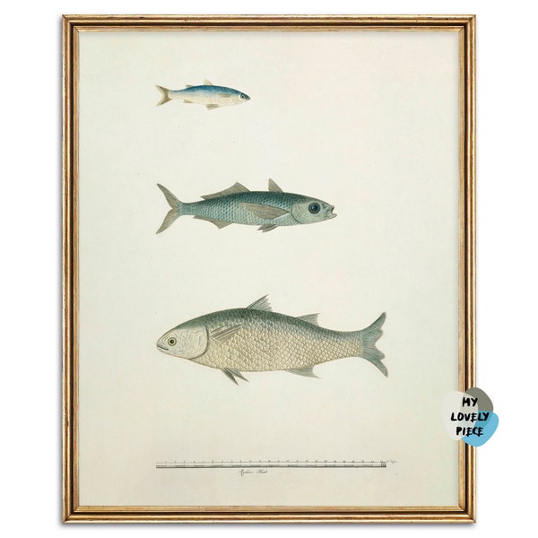 Mullet Art Print - Etsy