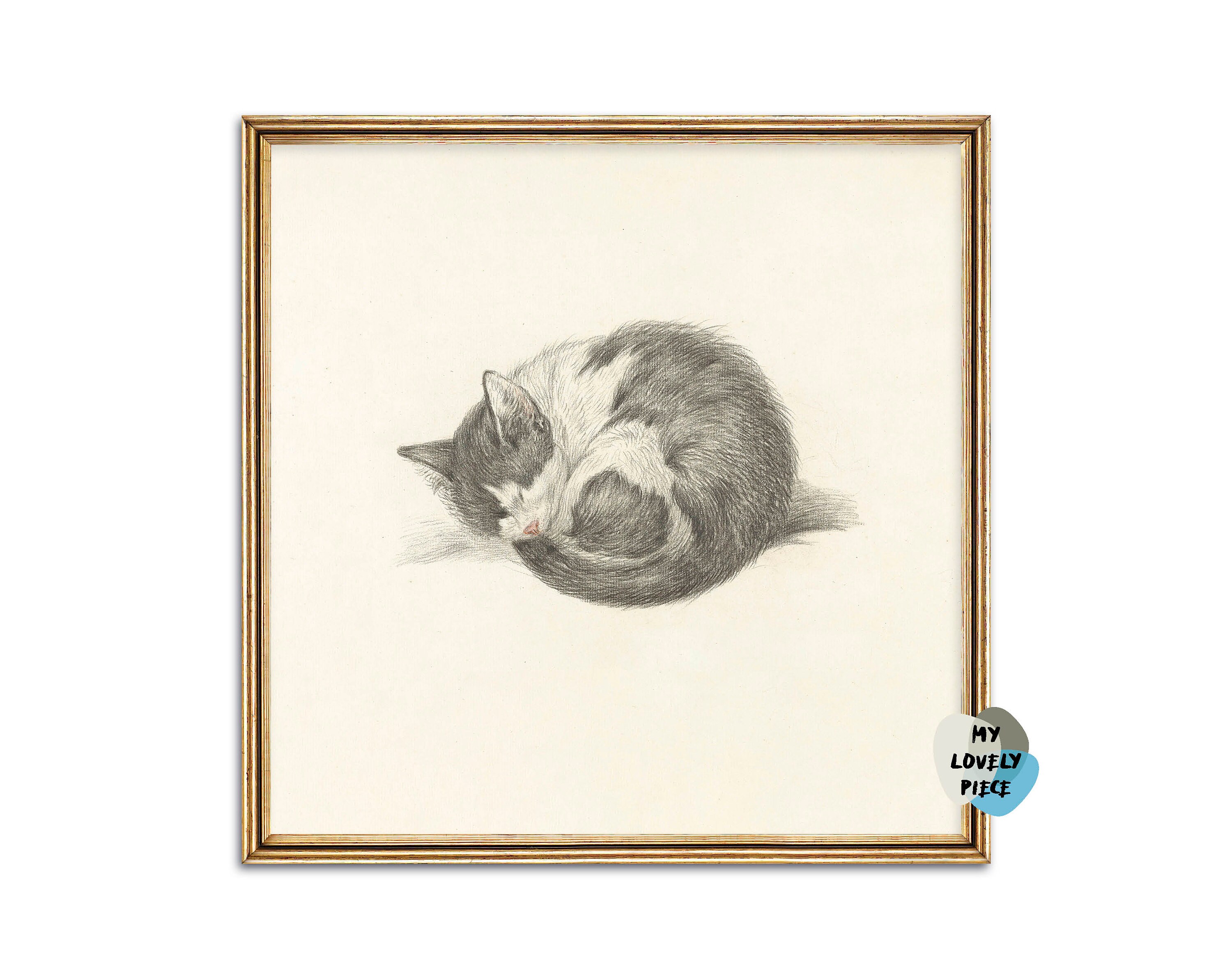 Cat Sleeping Curled Up Drawing