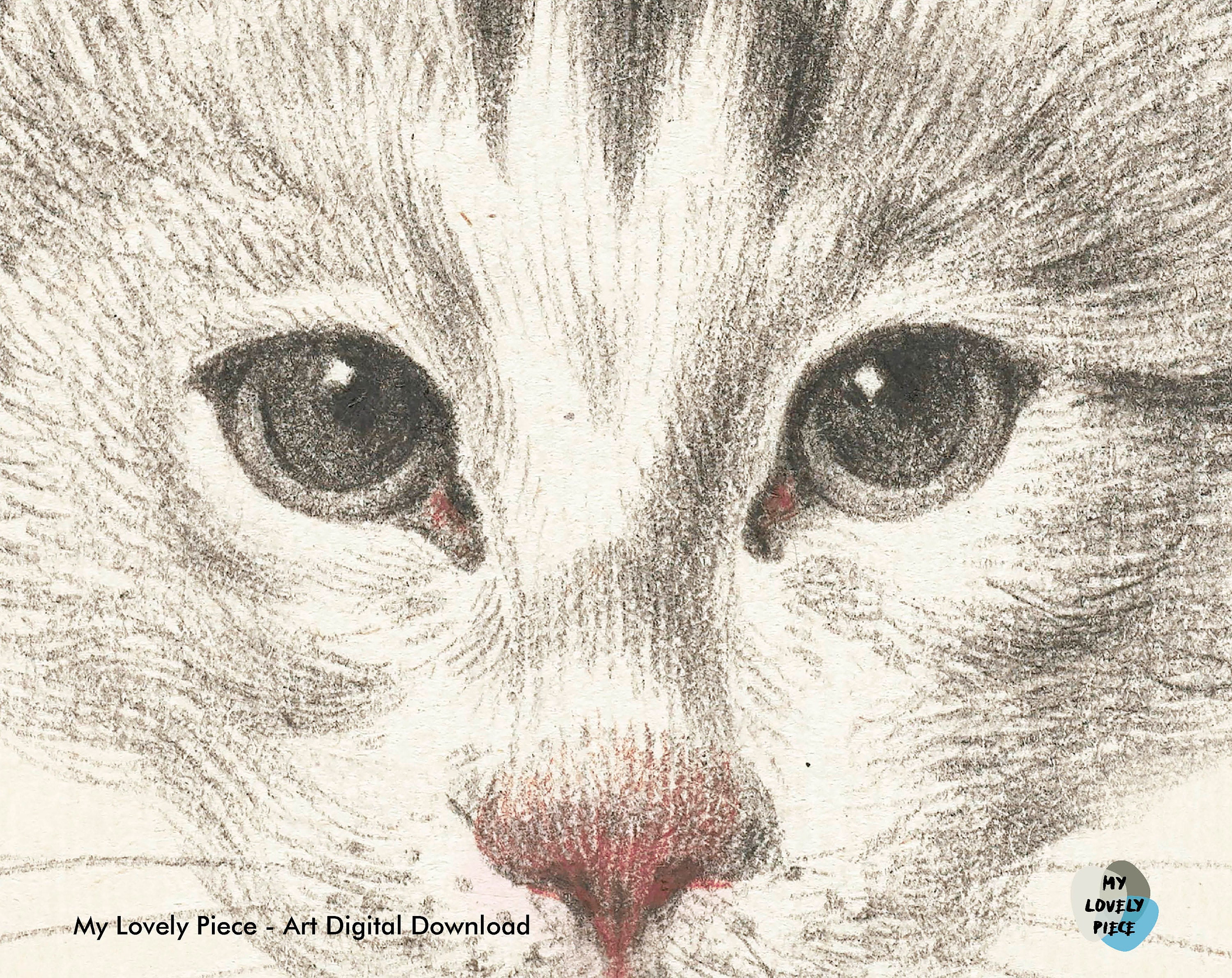 Cat Face Drawing Cute Cat Head Sketch Cat Pencil Portrait Artwork Cat ...