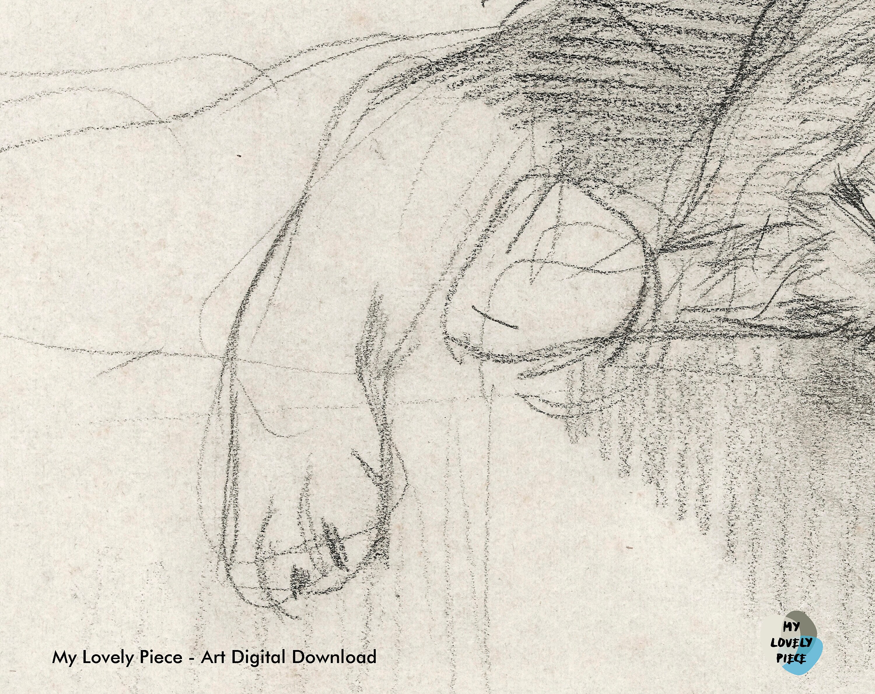 Lion Lying Down Study Vintage Printable Sketch Instant - Etsy