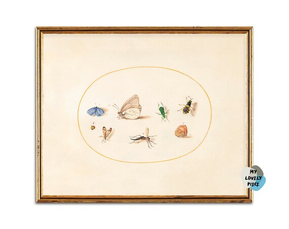 Vintage Insects Drawing Detailed Art Print Watercolor | Etsy