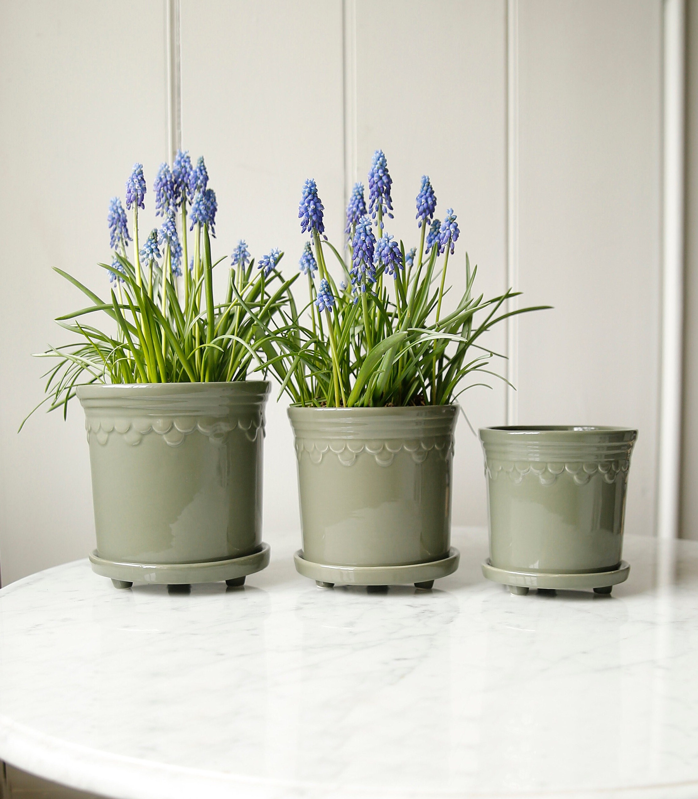 Sage Green Scalloped Edge Pot - Etsy UK