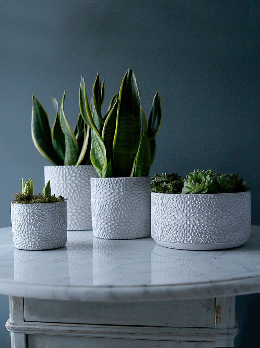 Sunburst Concrete Pot Collection Scandi Plant Pot - Etsy