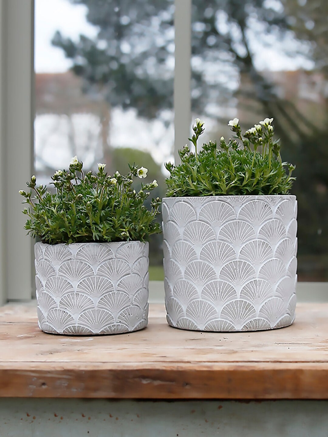 Fan Concrete Plant Pot - Etsy UK