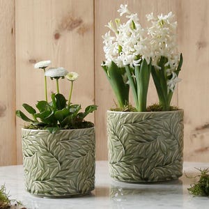 Olive Green Leaves Plant Pot - Etsy UK