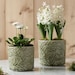 Olive Green Leaves Plant Pot - Etsy UK