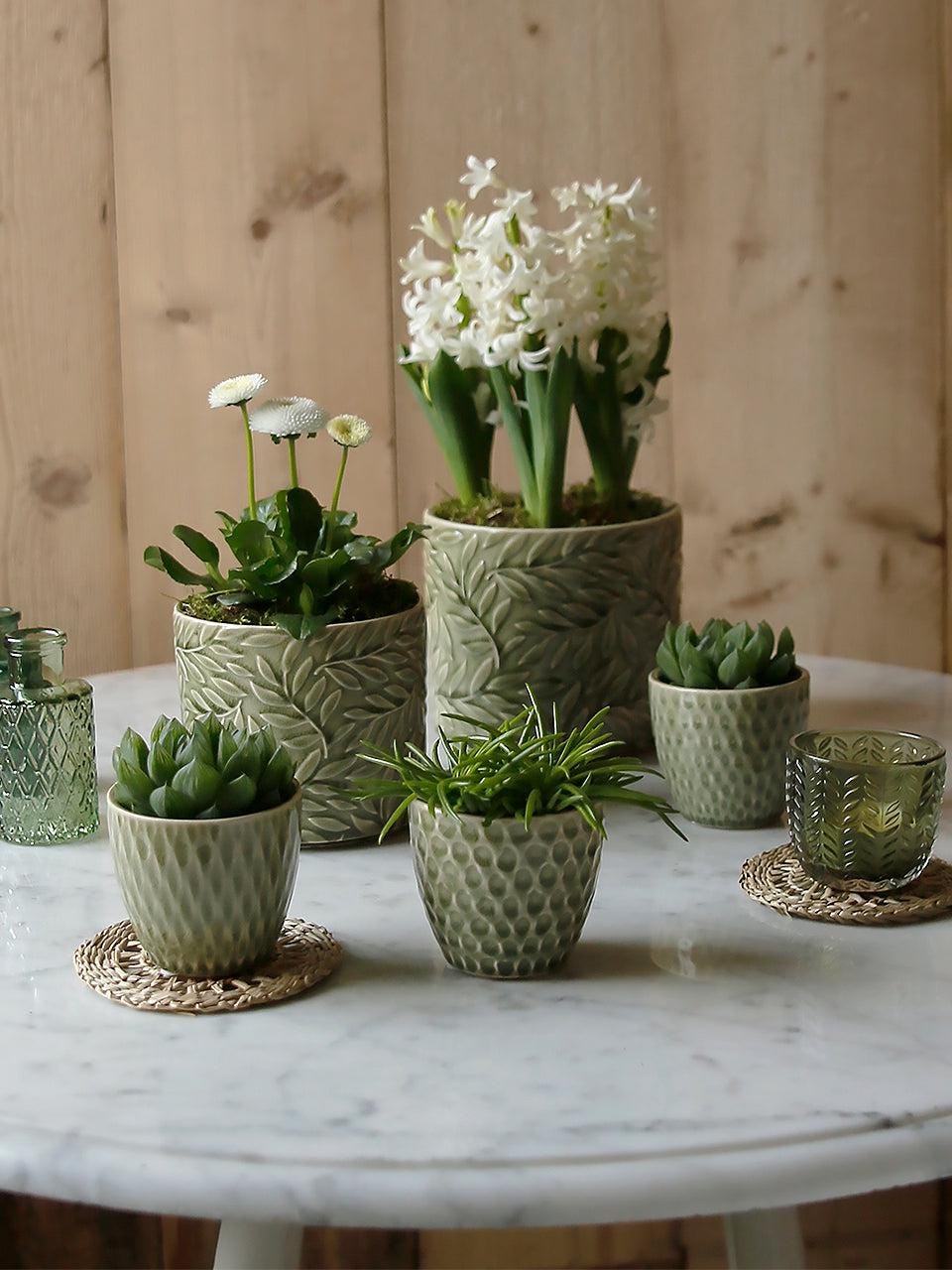 Olive Green Leaves Plant Pot - Etsy UK