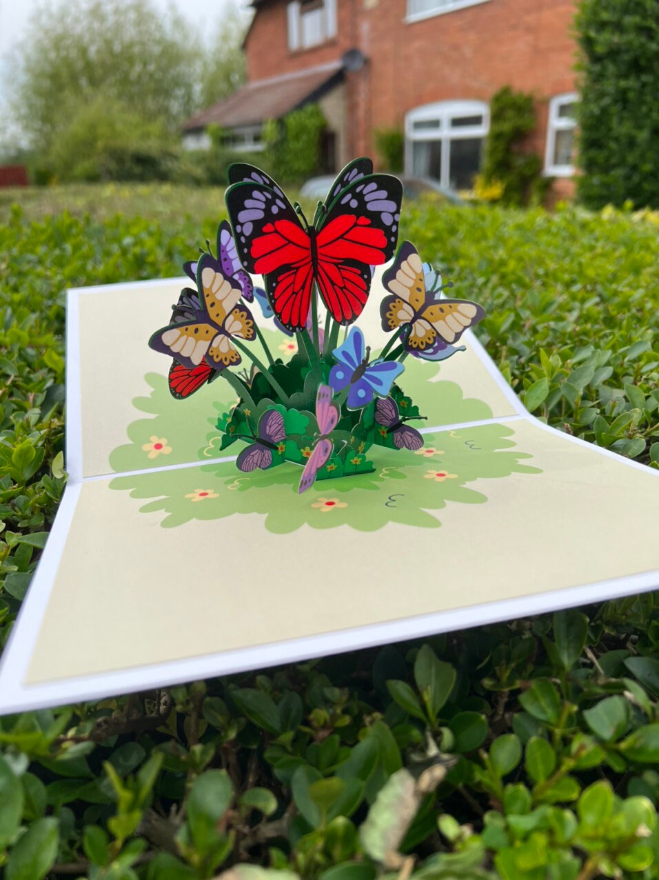 Butterfly 3D Card ,birthday Card, Pop up Card, & All Occasion - Etsy