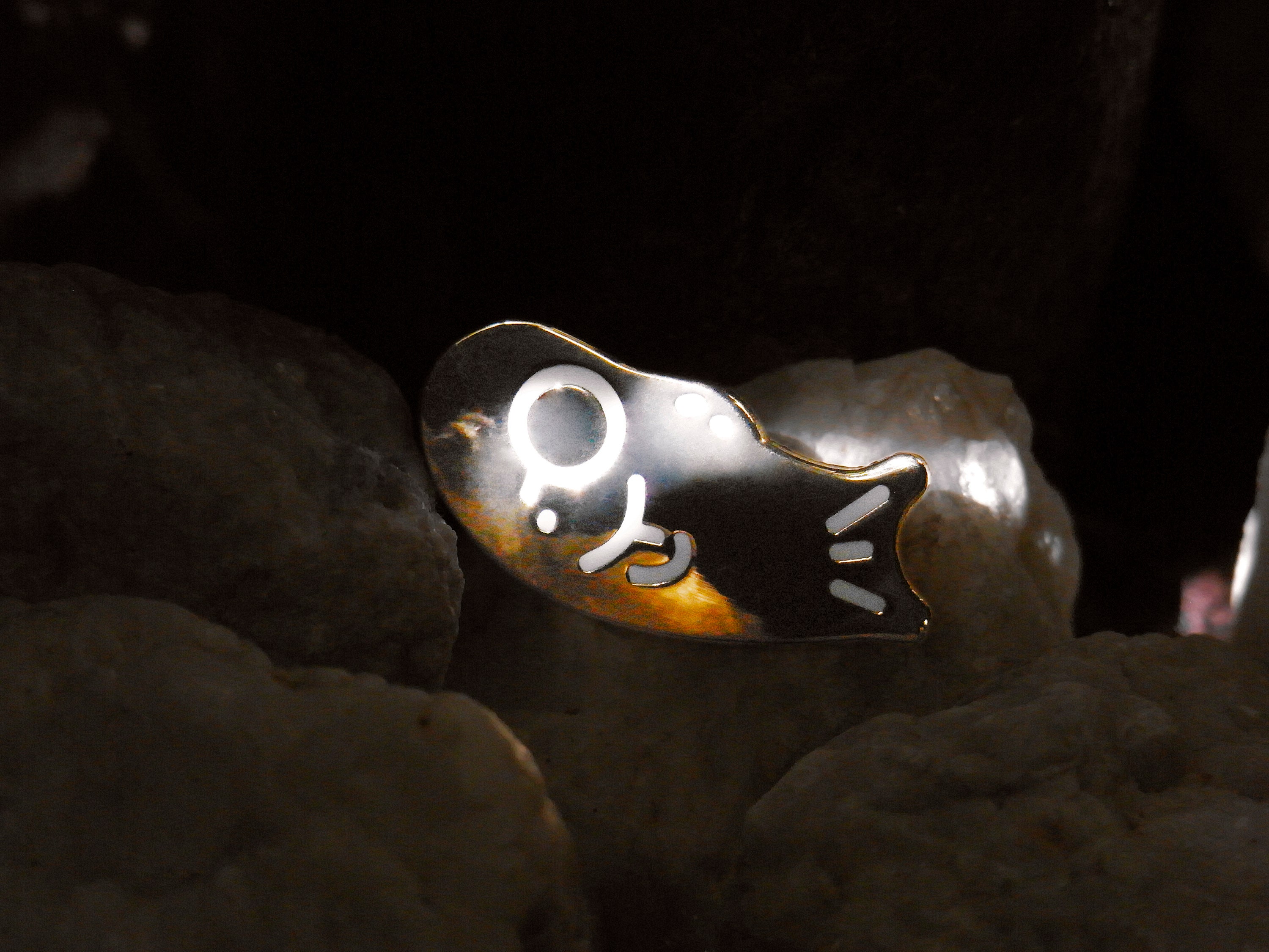 Fish 2 Enamel Pin - Etsy