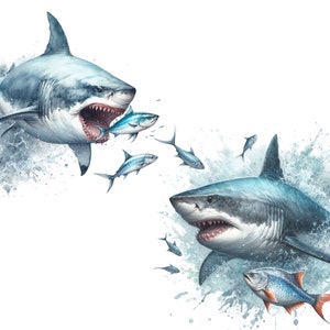 Commercial Use Shark Clipart, Shark Art, Sea Creatures Printable Pngs ...