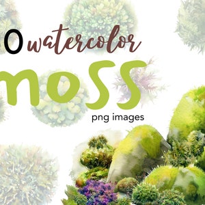 Commercial Use Moss Art, Watercolor Moss Rocks Clipart, Mossy Rocks ...
