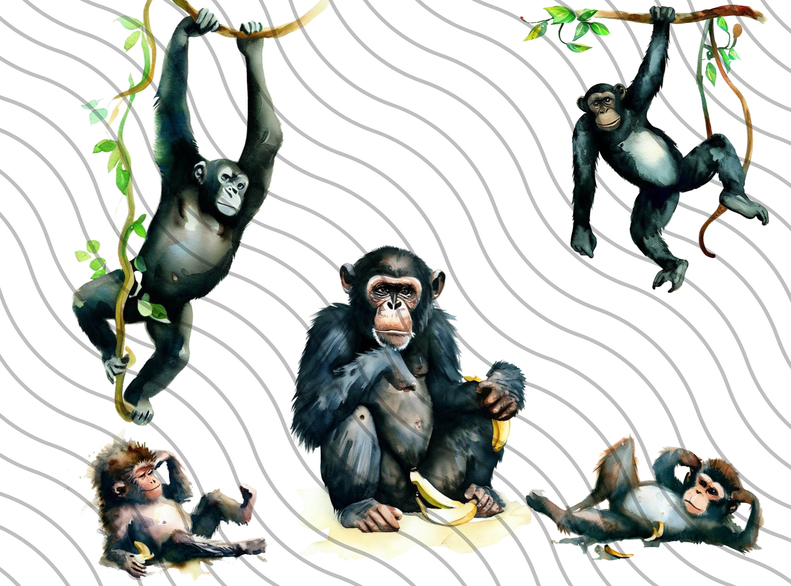 Aquarell Simians Gorilla Affe Affe PNGs - Etsy.de