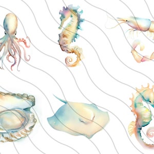 Commercial Use Sea Creatures Clipart, Watercolor Ocean Sea Creatures ...