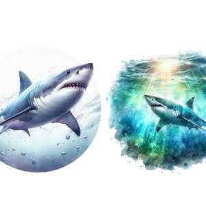 Commercial Use Shark Clipart, Shark Art, Sea Creatures Printable Pngs ...