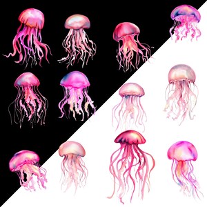 Jellyfish Clipart | Watercolor Jellyfish PNG Bundle | Commercial Use ...