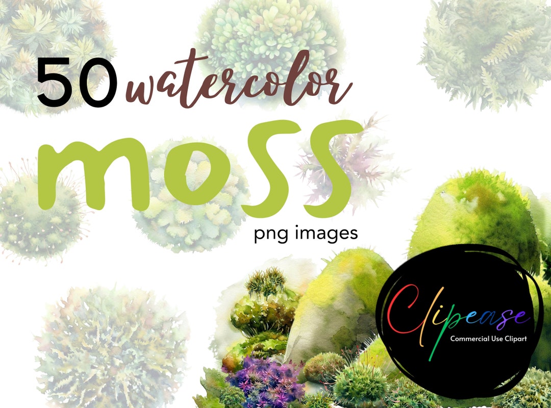 Commercial Use Moss Art, Watercolor Moss Rocks Clipart, Mossy Rocks ...