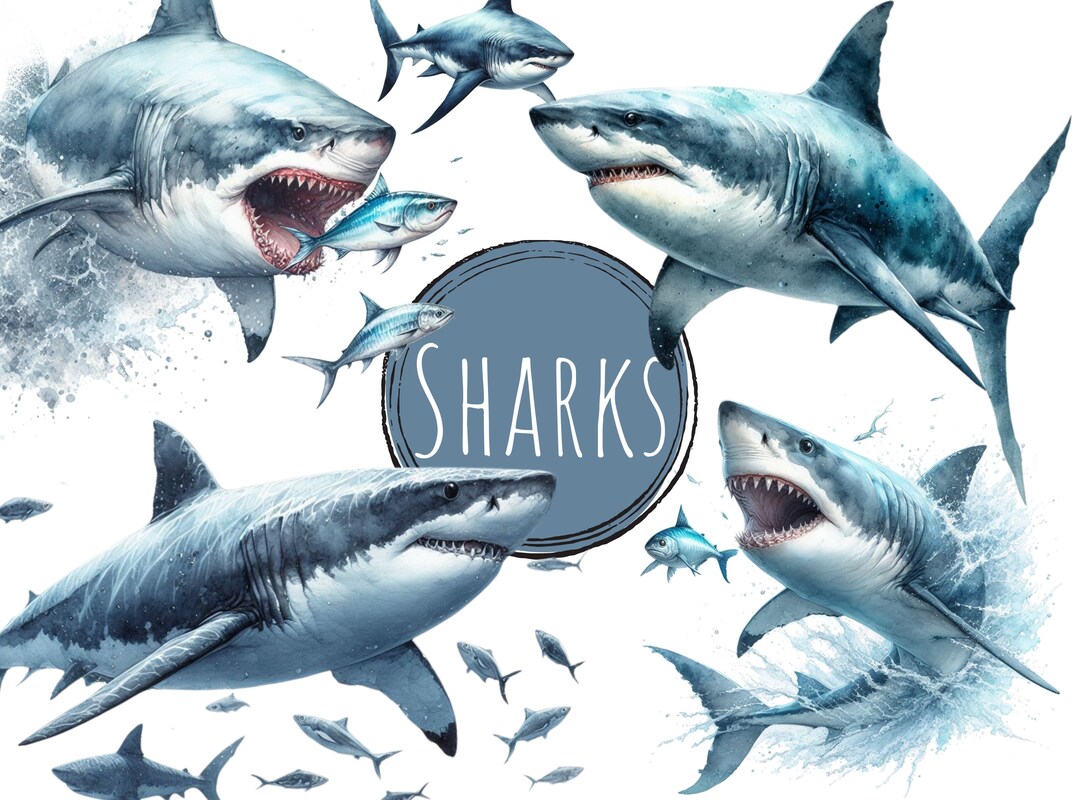 Commercial Use Shark Clipart, Shark Art, Sea Creatures Printable Pngs ...
