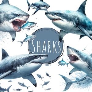 Commercial Use Shark Clipart, Shark Art, Sea Creatures Printable Pngs ...