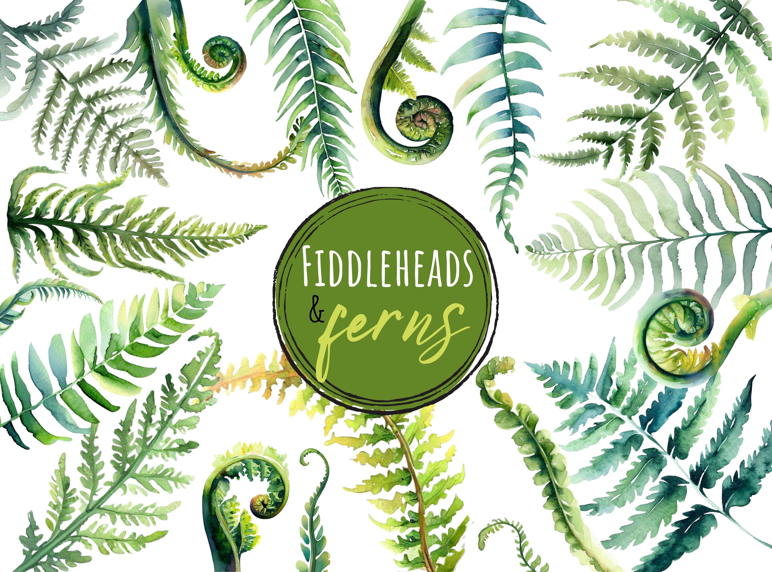 Commercial Use Watercolor Fern and Fiddleheads PNG Set - Etsy