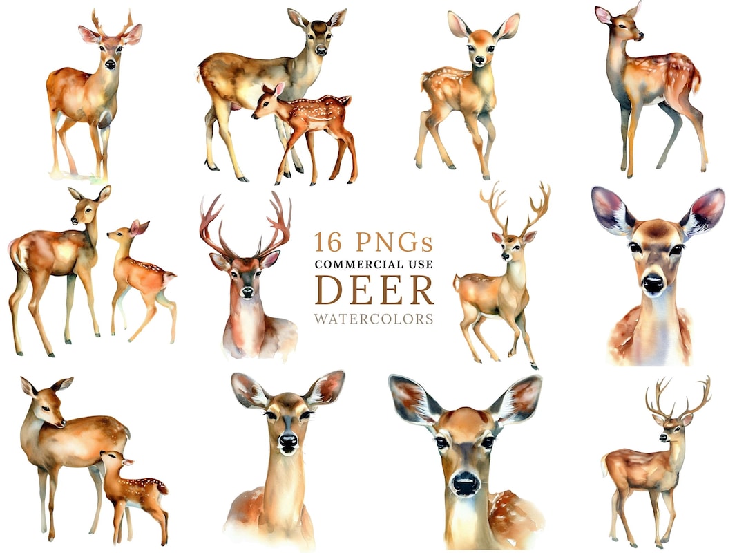 Watercolor Deer Clipart Bundle: Woodland PNG Images for Commercial Use ...