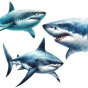 Commercial Use Shark Clipart, Shark Art, Sea Creatures Printable Pngs ...