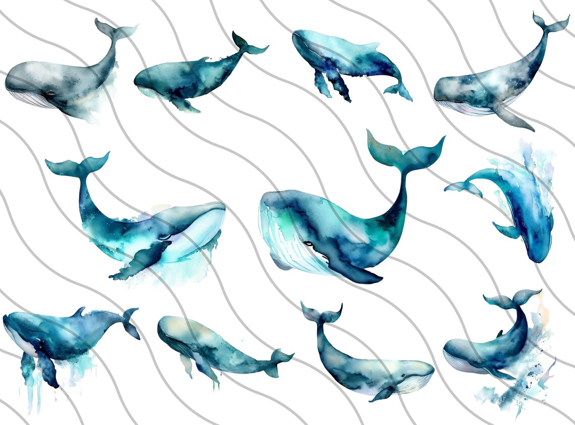 11 Watercolor Whale Clipart Images 8x8 PNG Whale Art Blue - Etsy