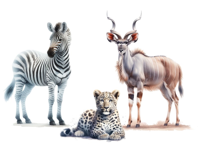 Safari Animals Clipart, Safari Animals Png, African Animals - Etsy