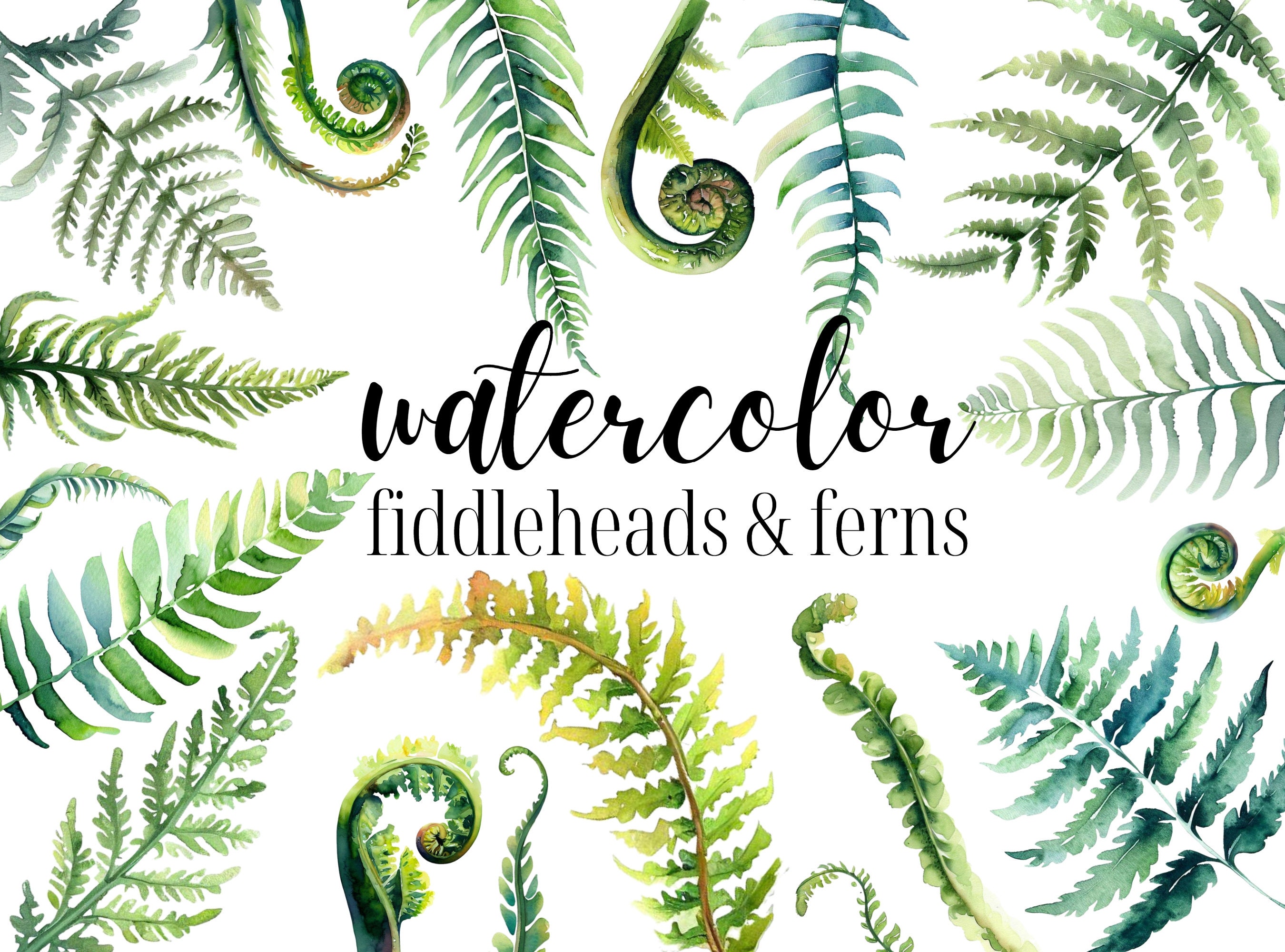 Commercial Use Watercolor Fern and Fiddleheads PNG Set - Etsy