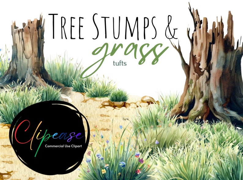 Watercolor Tree Stump Clipart: Grass PNG Bundle (commercial Use) - Etsy
