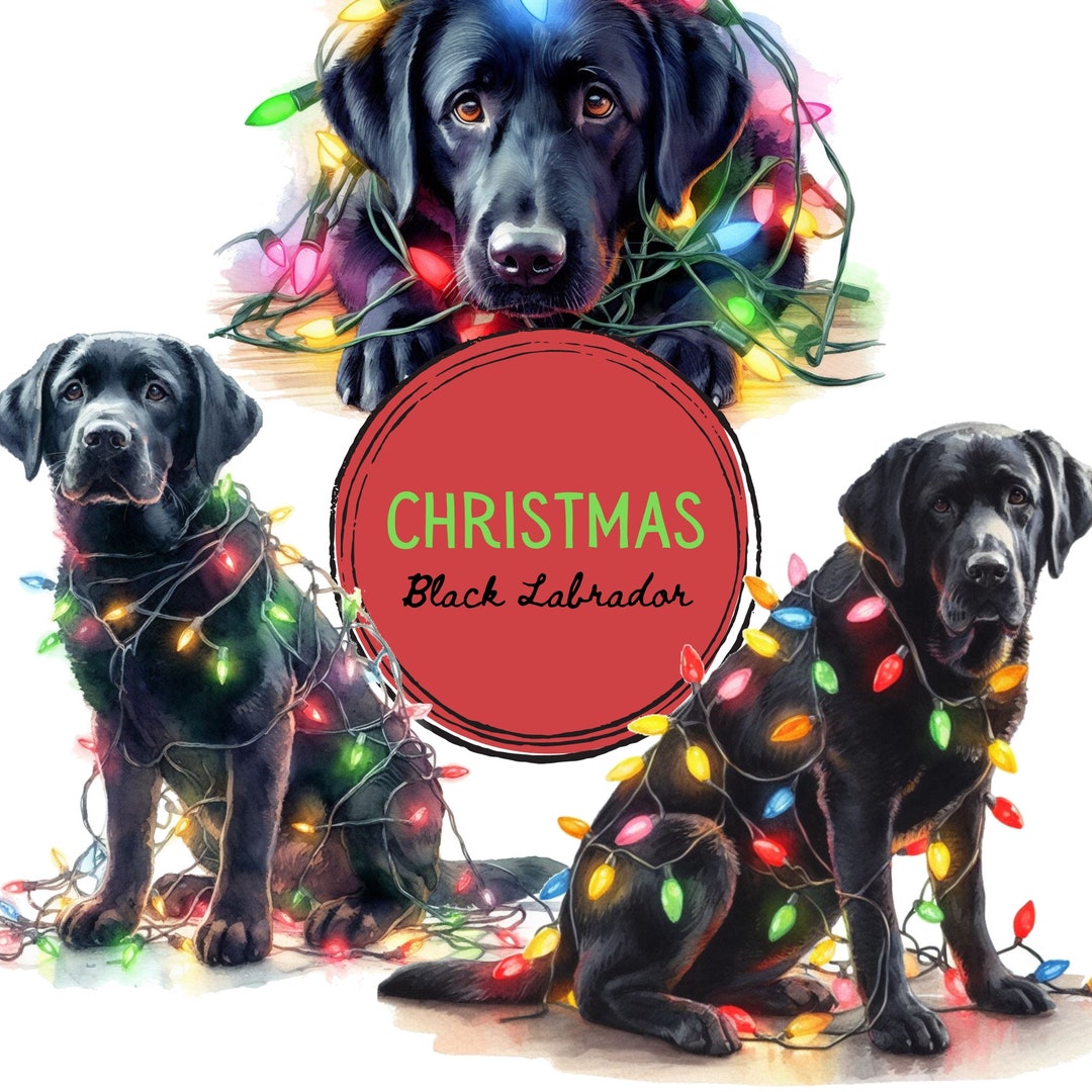 Commercial Use Black Labrador Christmas, Dog Funny Clipart, Black ...