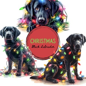 Commercial Use Black Labrador Christmas, Dog Funny Clipart, Black ...