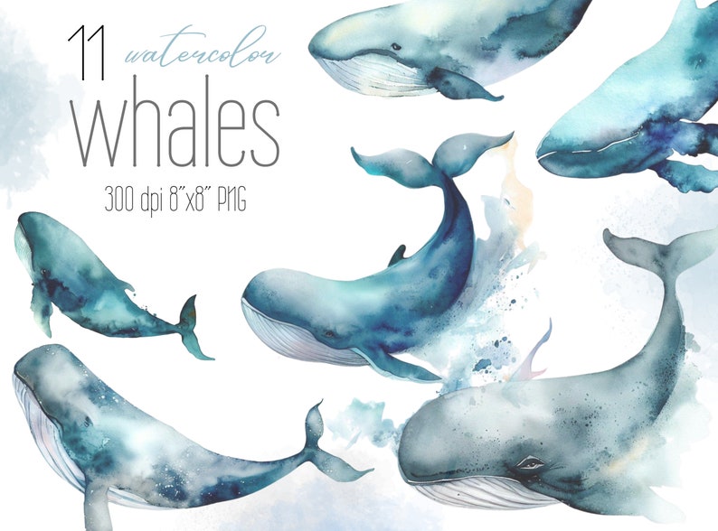11 Watercolor Whale Clipart Images 8x8 PNG Whale Art Blue - Etsy