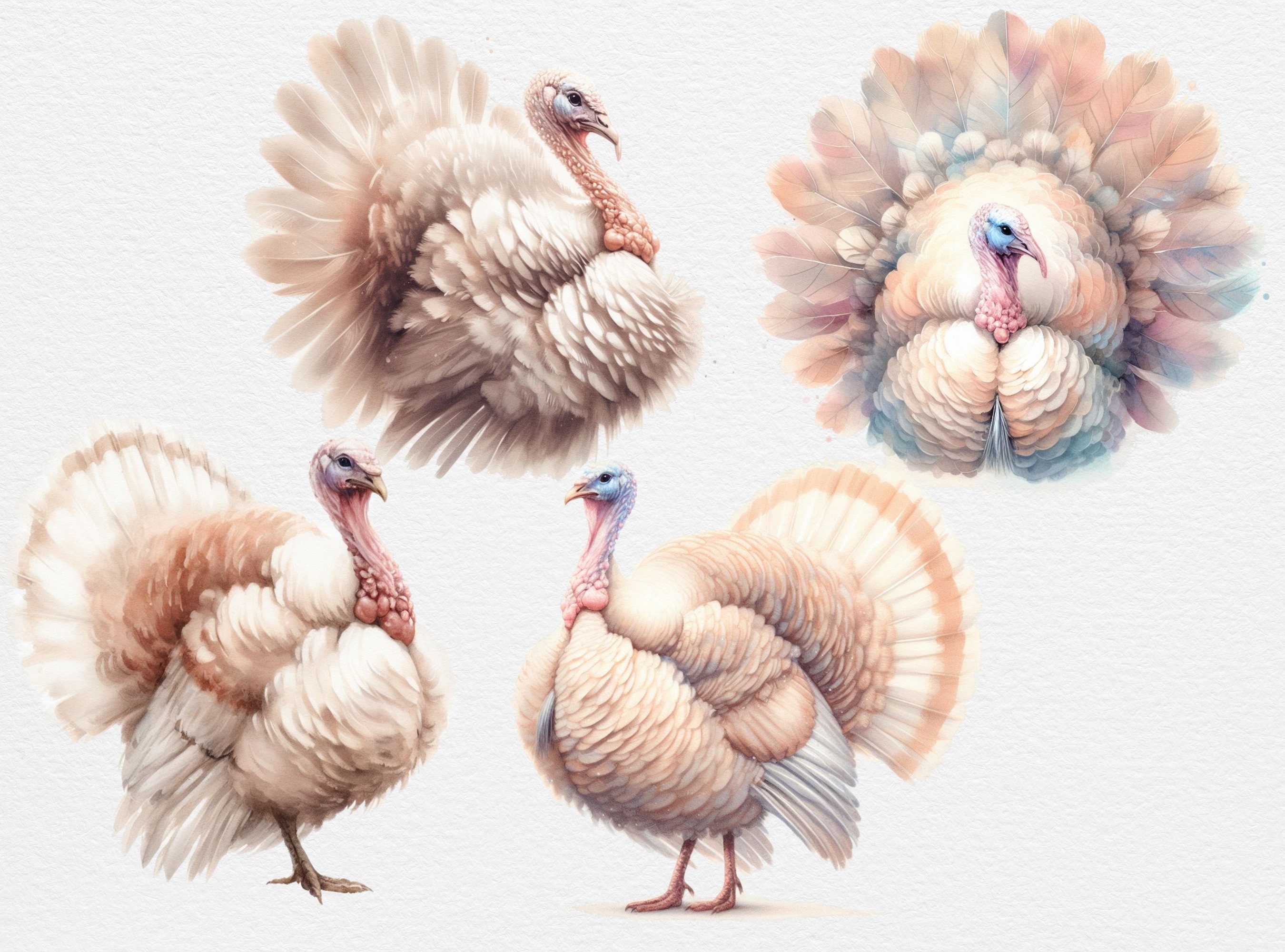 Turkey Clipart Watercolor Turkey Fall Clipart Thanksgiving - Etsy