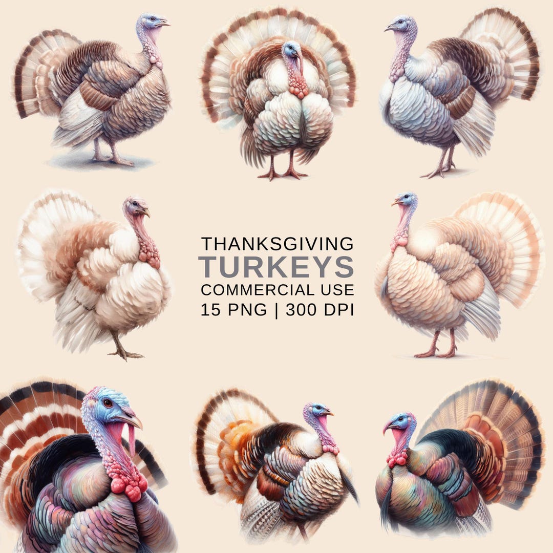 Thanksgiving Turkey Clipart Bundle: Farmhouse Art Pngs for Fall ...