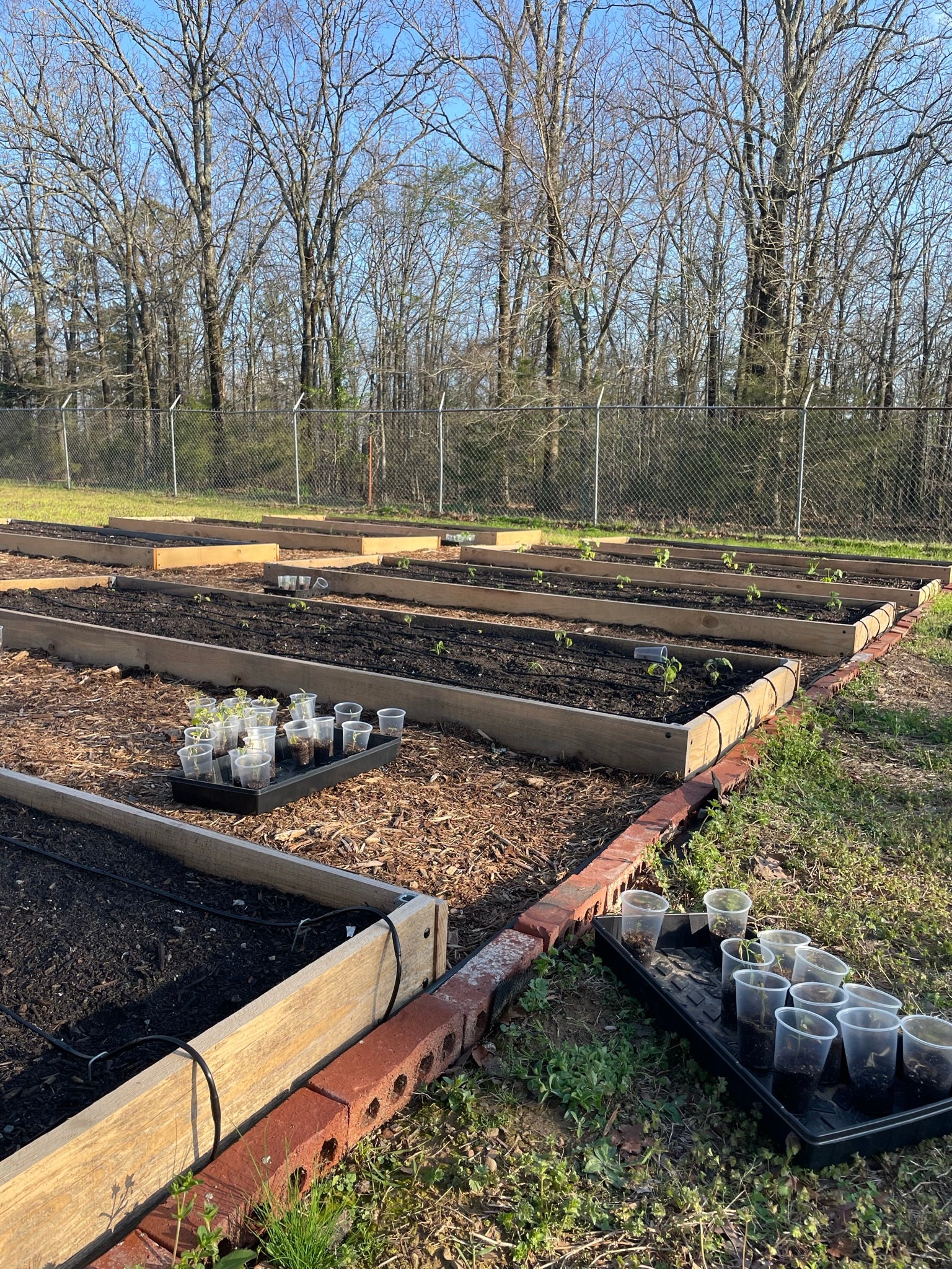 Raised Garden Bed Kit - Etsy