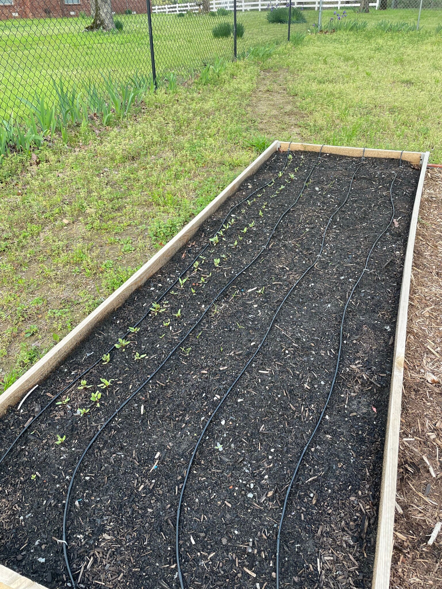Raised Garden Bed Kit - Etsy