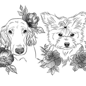 Custom Pet Drawing DIGITAL PORTRAIT Outline Sketch Photo Dog - Etsy