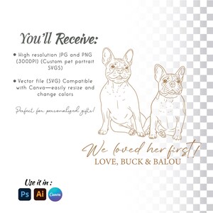 Custom Pet Line Art From Photo, Dog Line Drawing, Cat Portrait, Custom ...