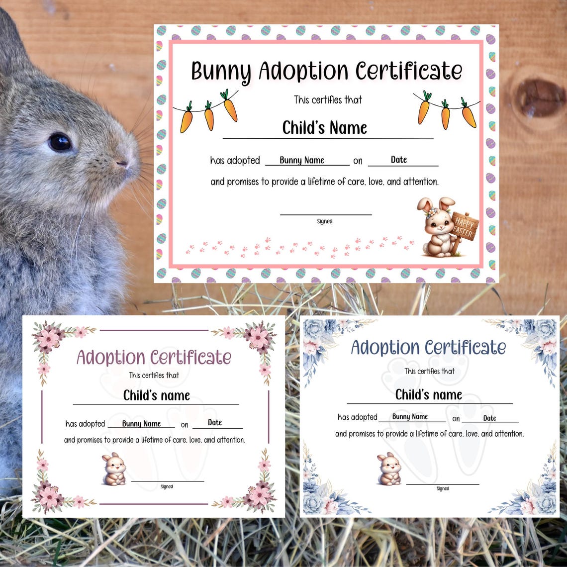 Easter Bunny Adoption Certificate, Printable Rabbit Adoption, Editable ...