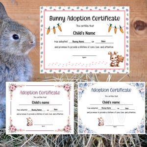 Easter Bunny Adoption Certificate, Printable Rabbit Adoption, Editable ...