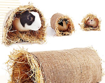 Small Animal House - Etsy