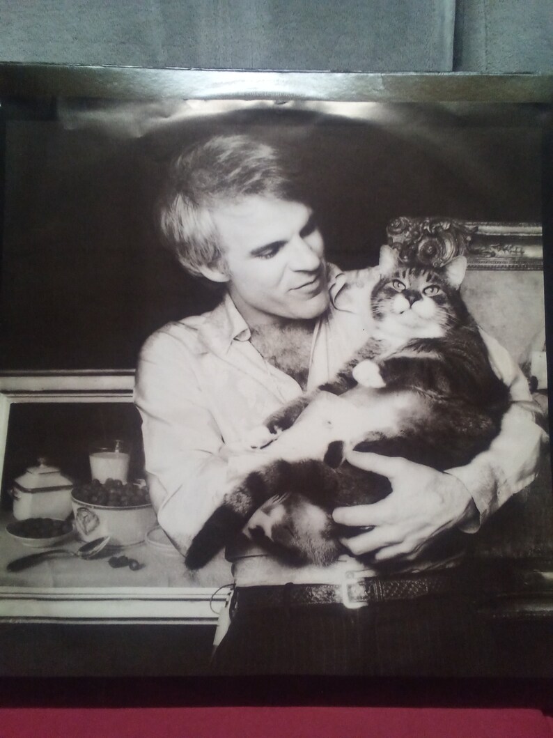 Vintage Steve Martin 1978 A Wild and Crazy Guy Record Album Great ...